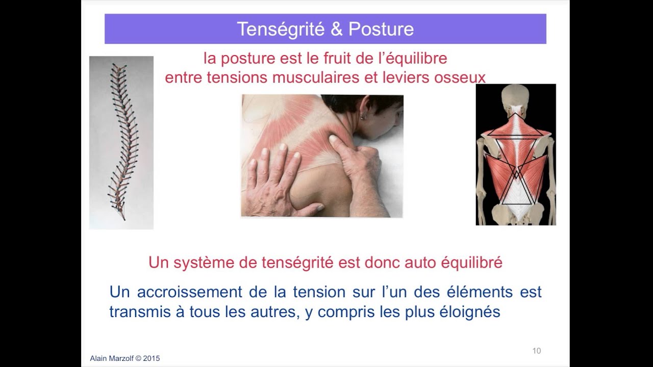 3 - Qu'est ce qu'un Trigger Point (Début de la formation de 2 jours ...