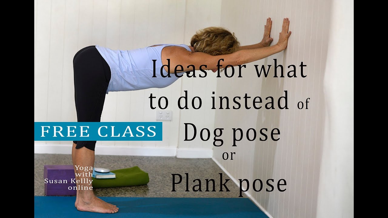 Ideas for a "dog pose" free practice - YouTube