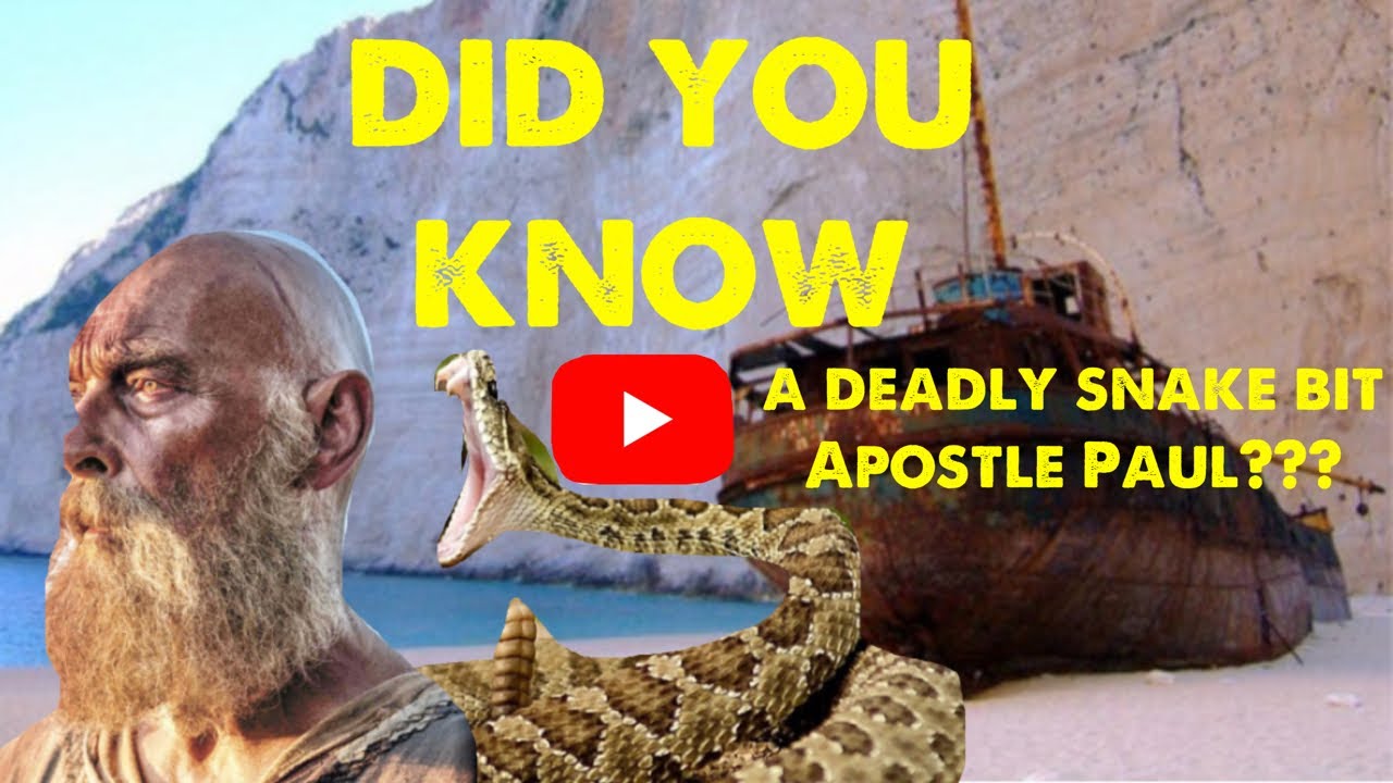 DID YOU KNOW A DEADLY SNAKE BIT APOSTLE PAUL??? storms,trials,difficult ...