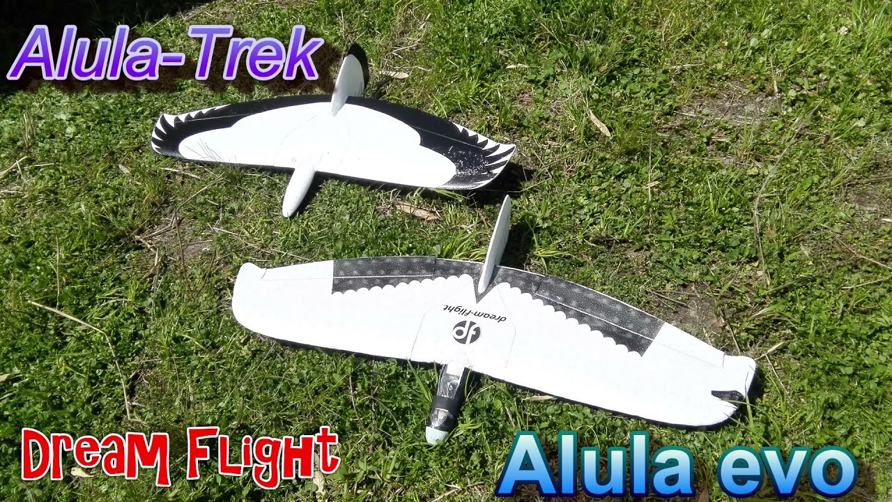 Dream-Flight Alula-TREK ＆ alula evo サーマルゲット No wind 5 minutes flight ...
