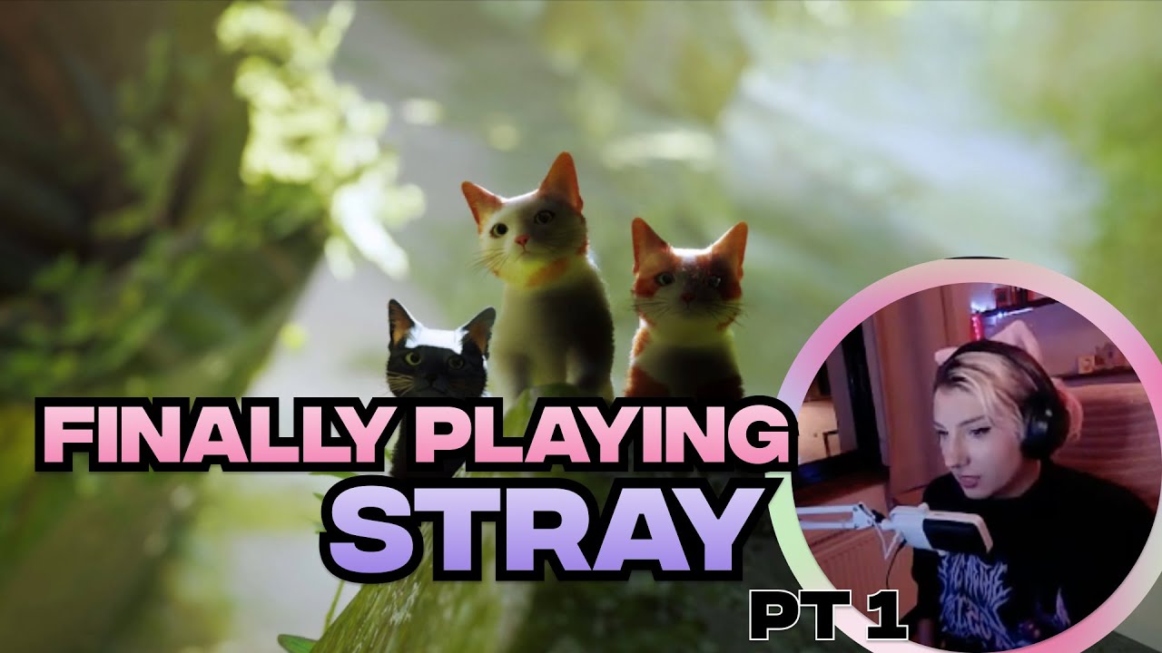 Cat playing Cat game | Stray part 1 - YouTube