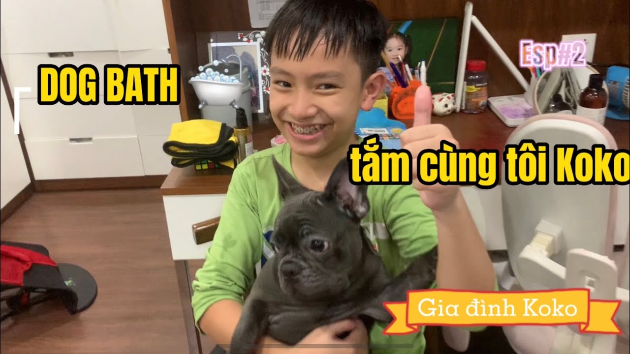 Esp #2: Dog Bath|Koko tắm mát | Tắm cho Bull Pháp Koko @giadinhKoko ...