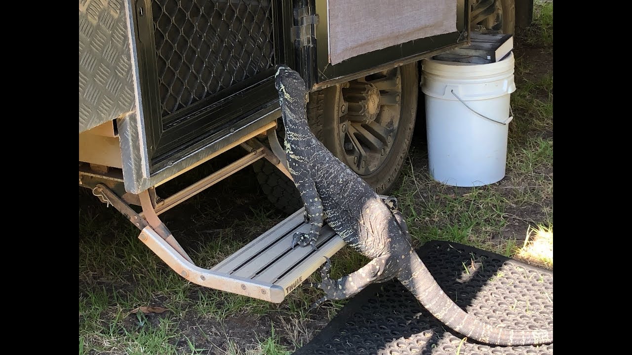 From the Volcano to the Den of Nargun Jan 2019 - YouTube