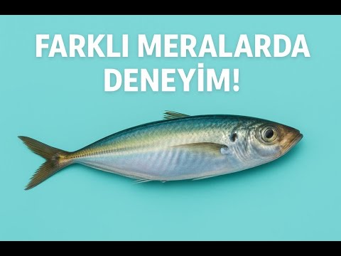 Bursa Mudanya Sahillerinde LRF ile İstavrit Avı – Farklı Meralarda Deneyim!