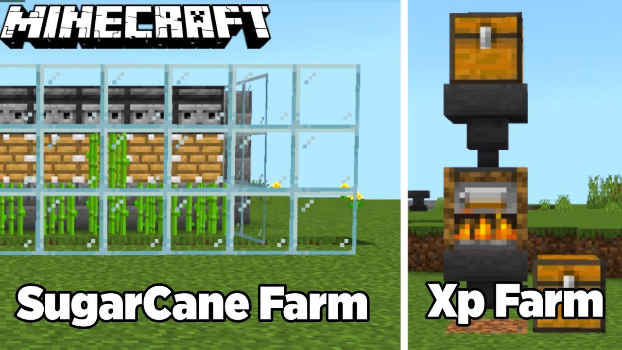 Minecraft Pocket Edition Sugarcane And Xp Farm Tutorial Easy 1.20 - YouTube