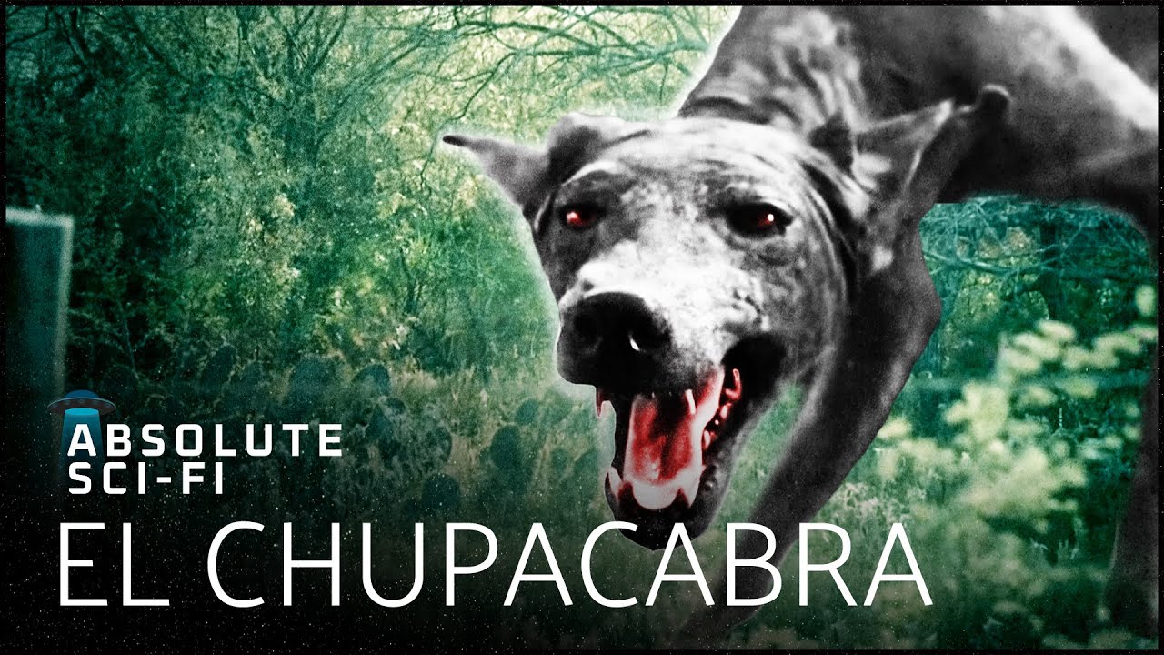 Finding The Corpse Of The Blood-Sucking El Chupacabra | Boogeymen - YouTube