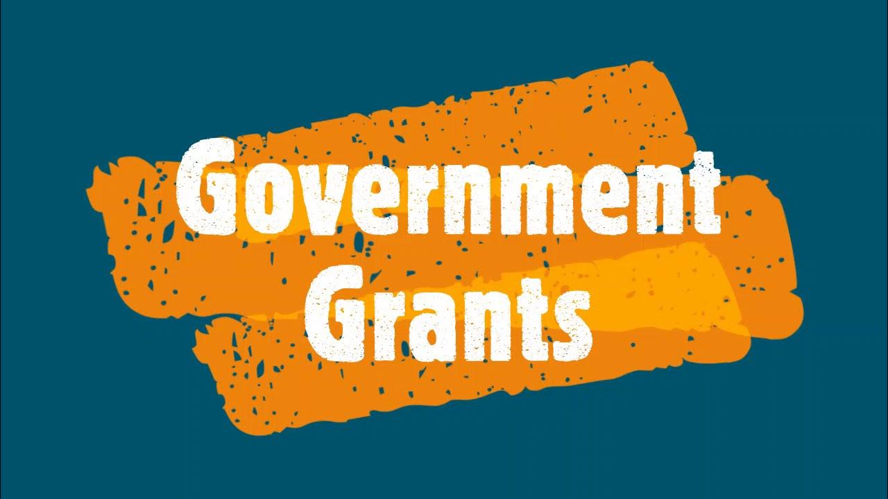 Government Grants Definition Recognition Classifications And government-grants-definition-recognition-classifications-and