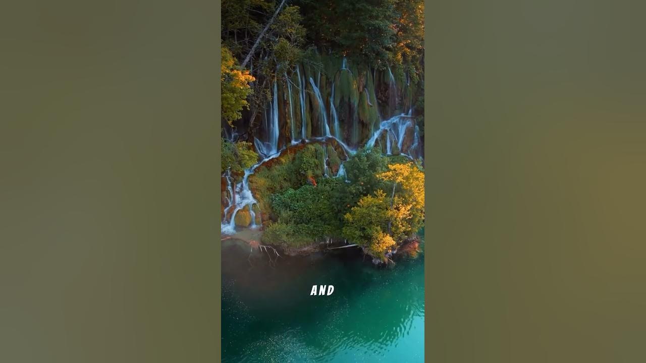 Did you know about yellow spring road? A journey through natures golden embrace. # ...