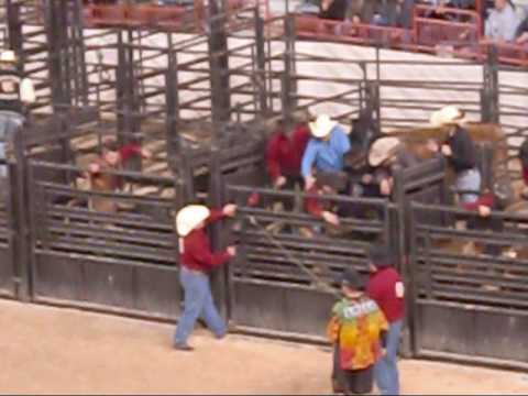 Pa High School Rodeo-Bull Riding 2010 - YouTube
