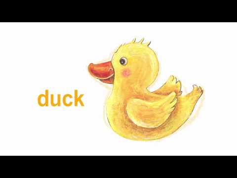 Learn the ABCs in Lower-Case: \