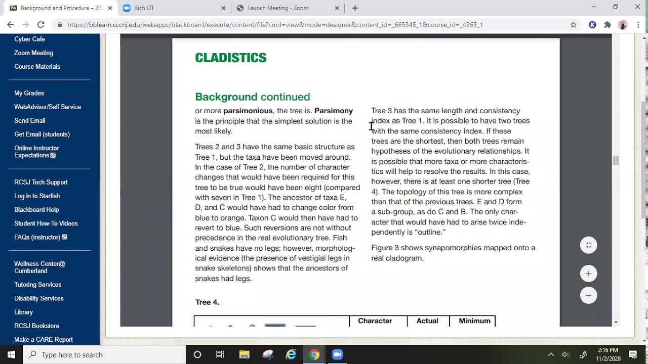 Cladistics Dry Lab Walkthrough - YouTube