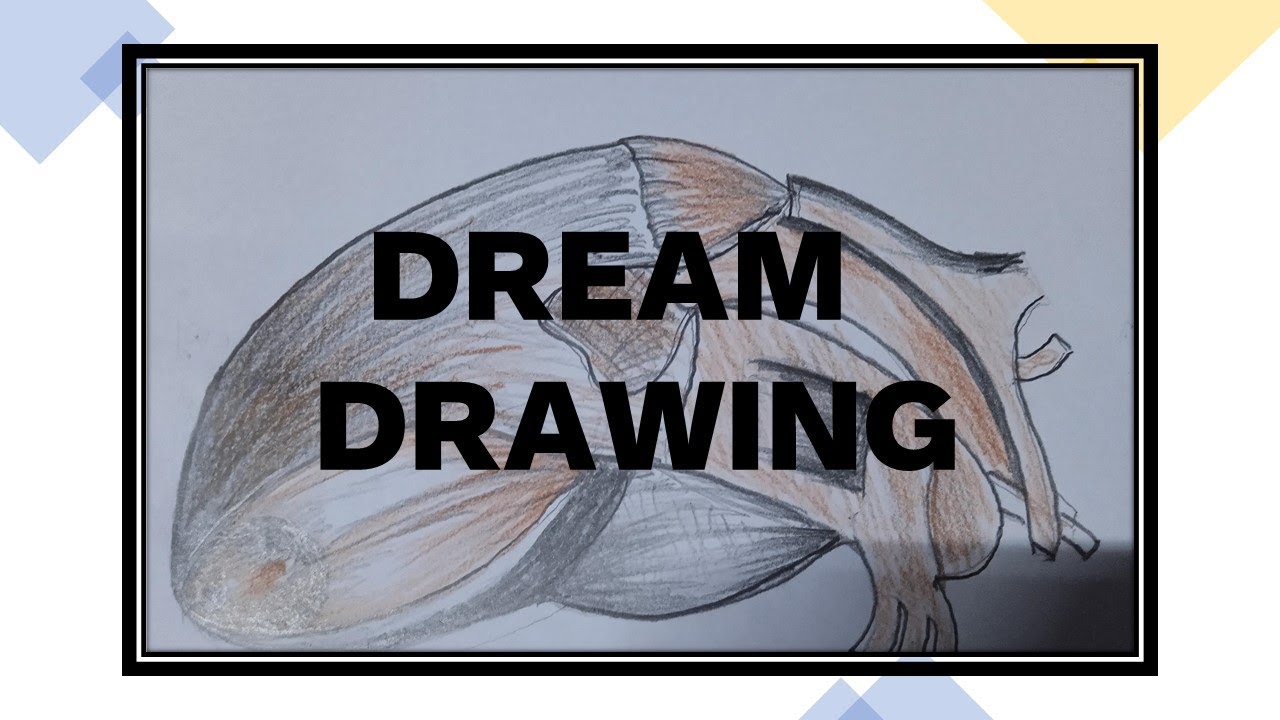 DD Drawing Heart Pencil Drawing/Figure Drawing/Female figure pencil ...