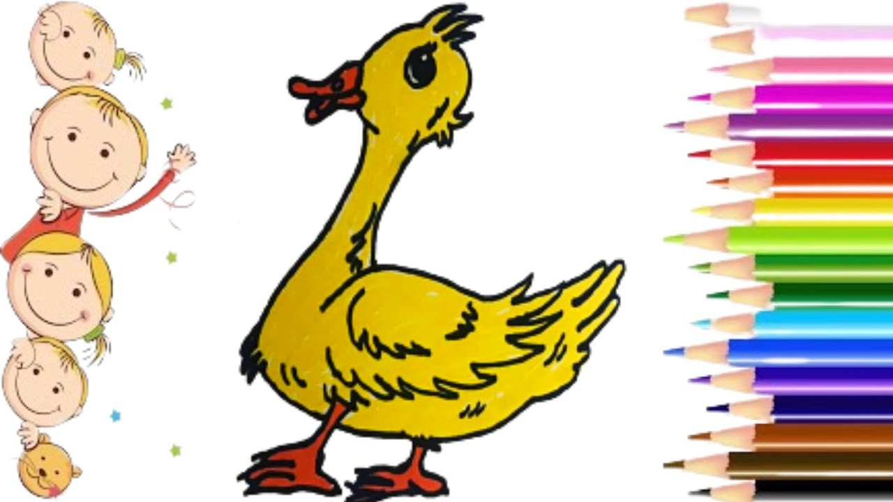 How to Draw a Duck Super Easy and Cute (1)🦆🦆🦆 - YouTube