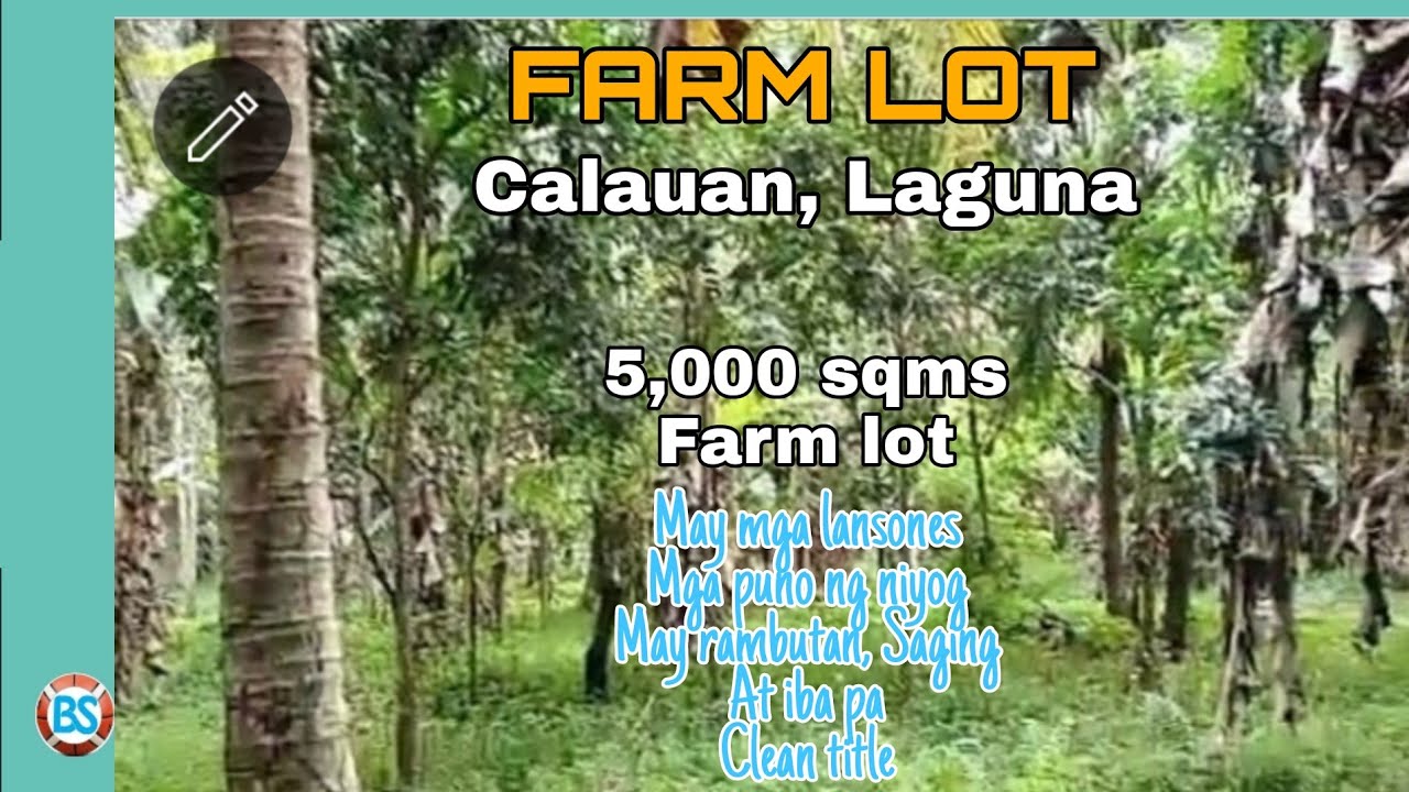 (P#63) 5,000 sqms @ 400/sqm Farm lot in Calauan, Laguna Available for ...