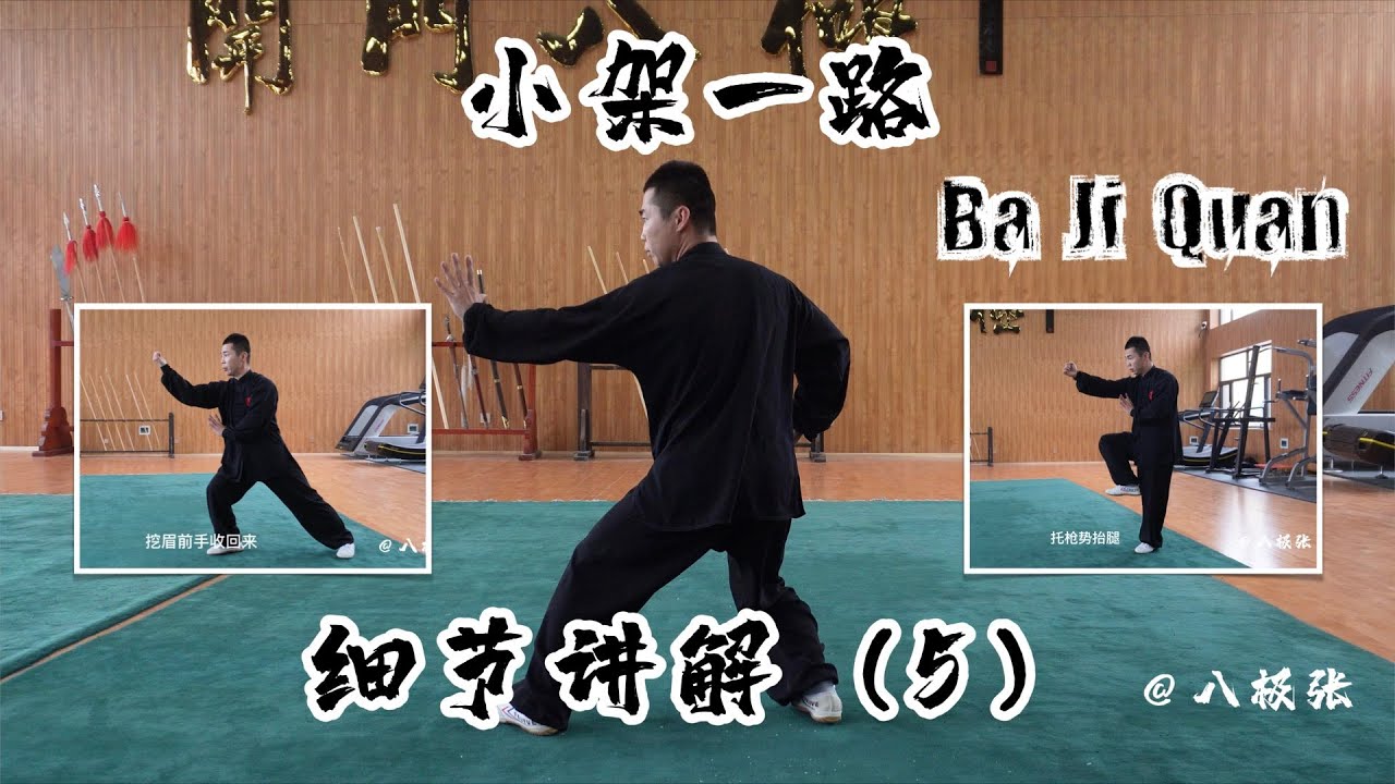 Baji Quan Detail Explanation5【Chinese Martial Arts/Kung Fu】Tutorial ...