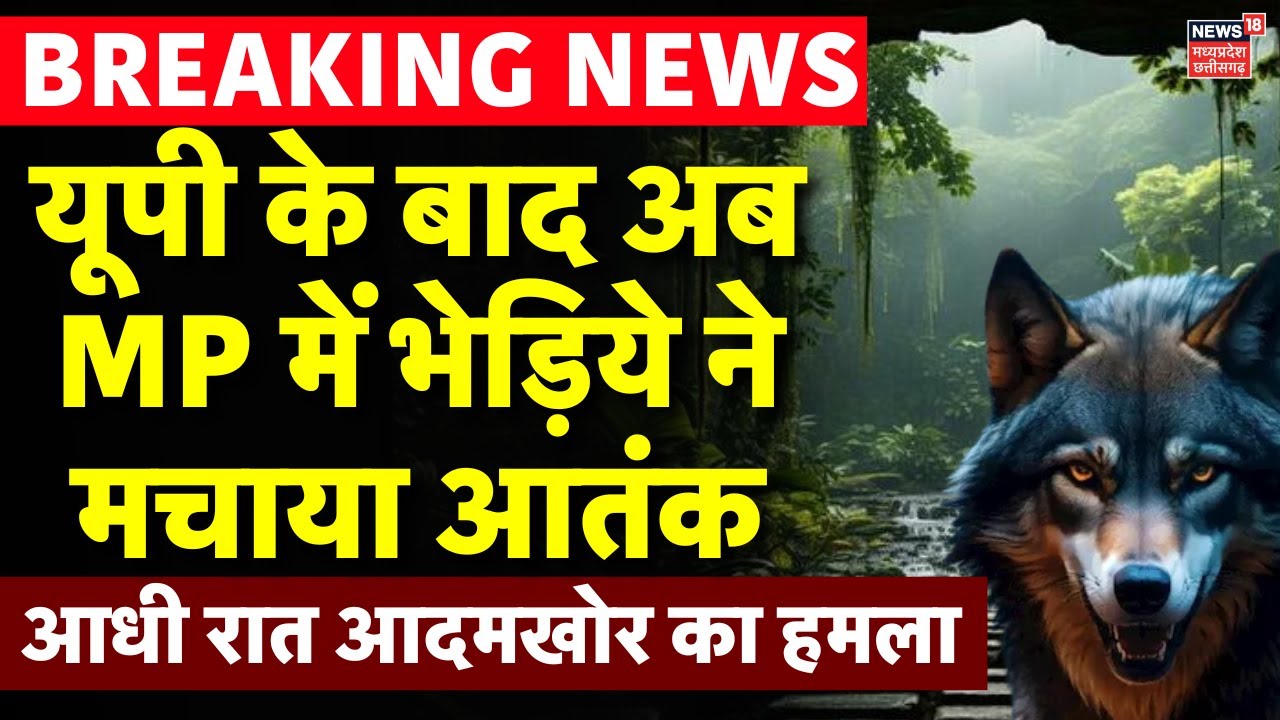 MP Wolf Attack: UP के बाद अब MP में भेड़िये ने मचाया आतंक, 5 लोग घायल ...