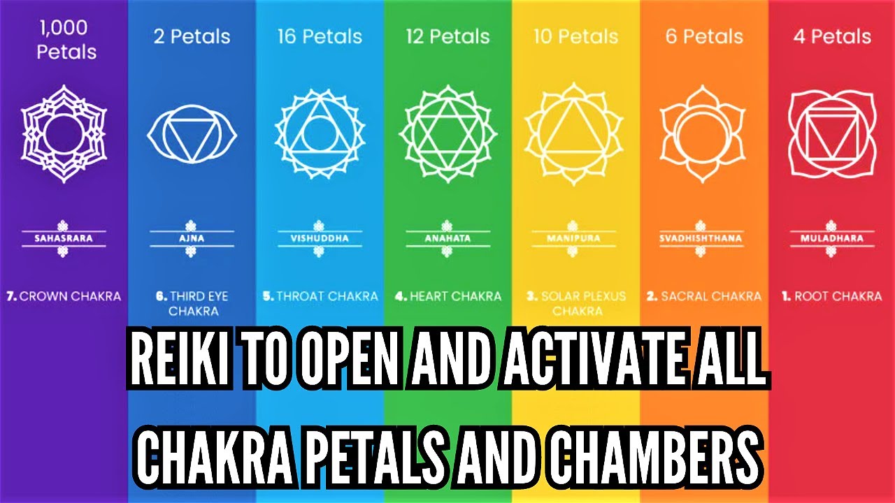 Reiki to Open and Activate all Chakra Petals and Chambers - YouTube