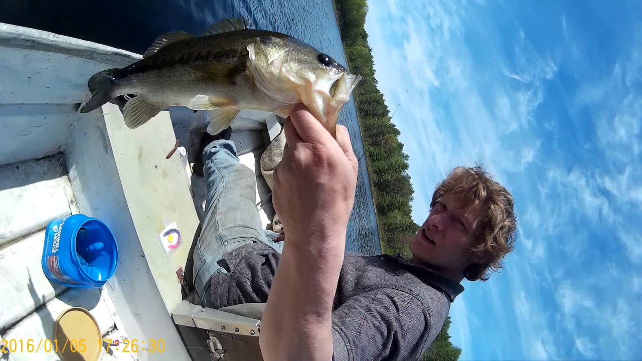 fishing mud pond Bass action - YouTube