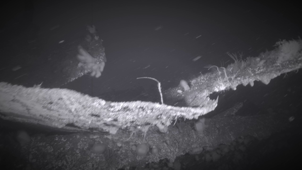 The wreck of the SMS Wiesbaden - YouTube