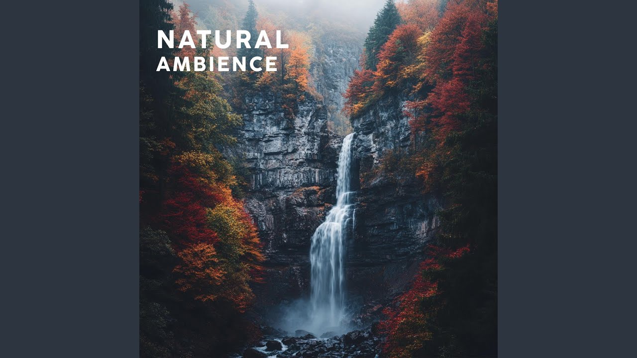 Stream Calm - YouTube