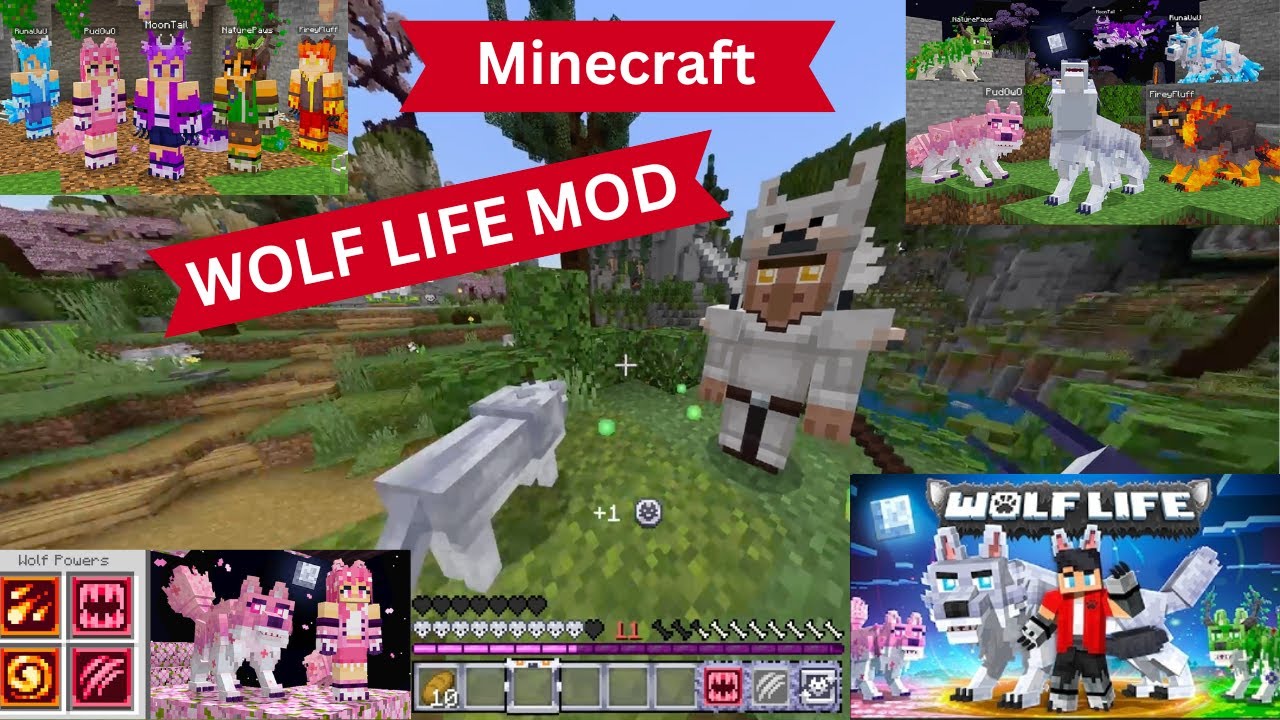 🐺 Wolf Life – Die ultimative Minecraft Bedrock Mod / Marketplace / Best ...