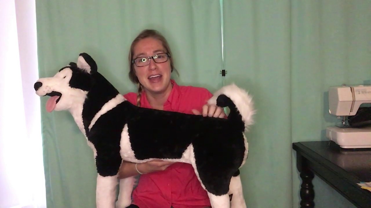 Acupressure Point - Bai Hui - YouTube