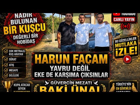 👑Hiç sıkılmadan seyredeceğiniz‼️SİNEMA tadında bir kümes ziyareti EKE KUŞ oynatan bir hobidaşımız ✋🏻
