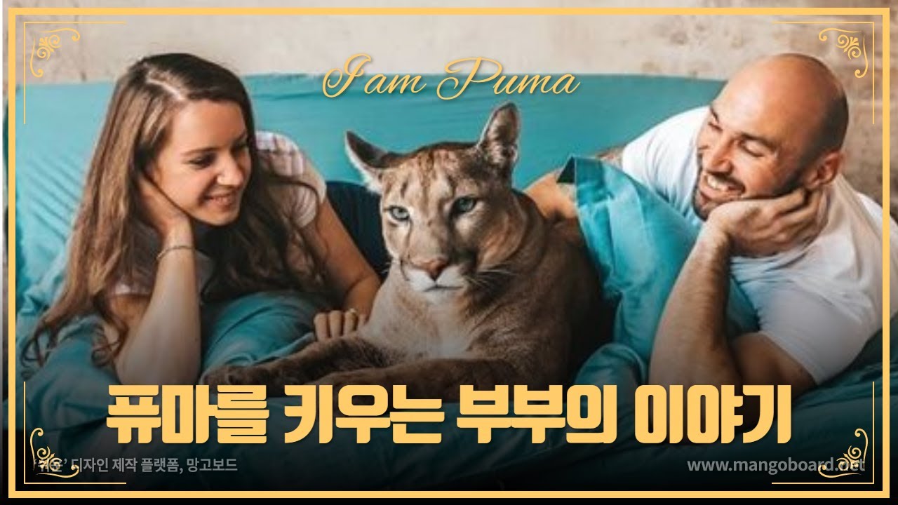 퓨마를 애완 동물로 키우게된 부부의 사연ㅣThe story of a couple who raise a puma as a pet ...