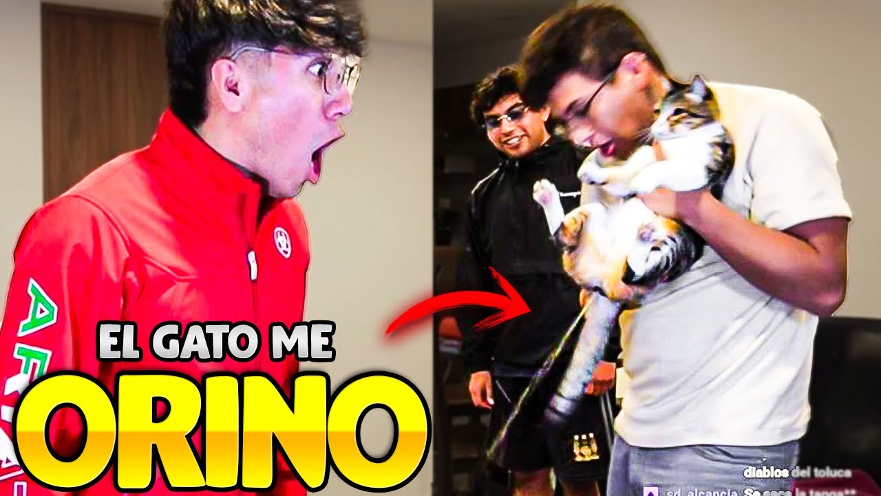 EL GATO ME SQUIRTEO ENCIMA 🤮 - YouTube