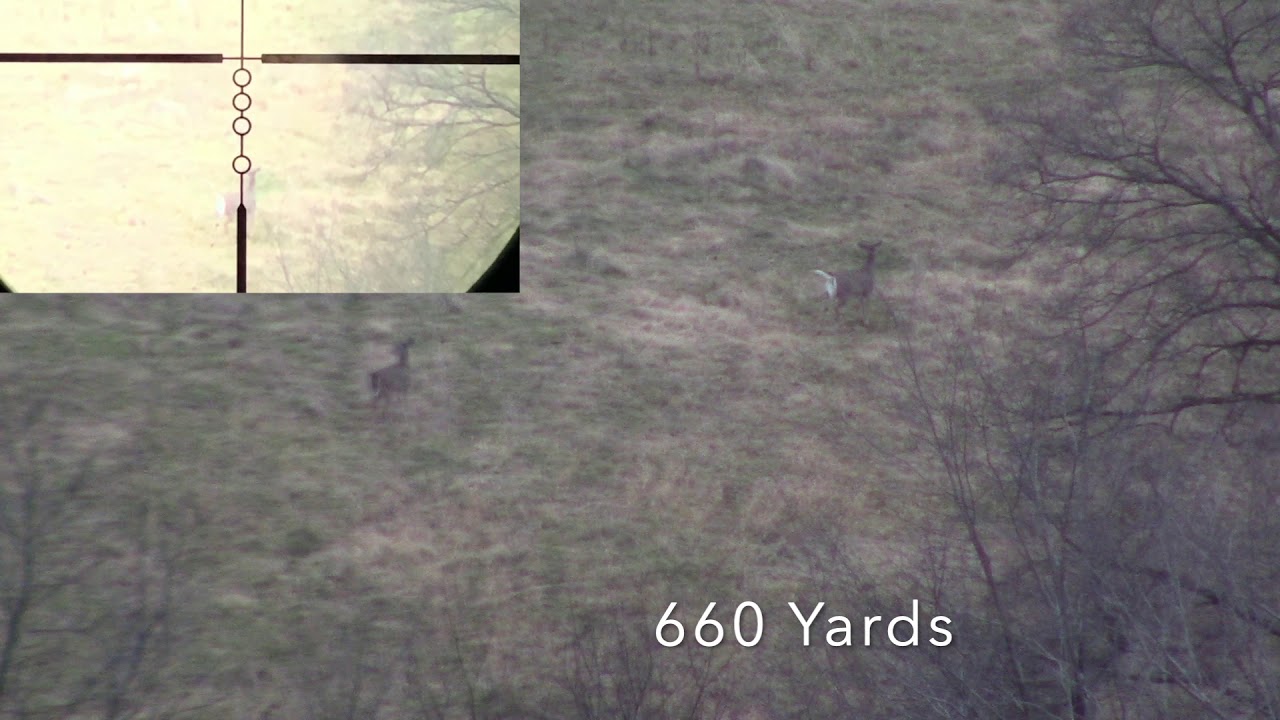 Long Range Whitetail Deer Hunt (6.5 Creedmoor)(690 Yards) - YouTube