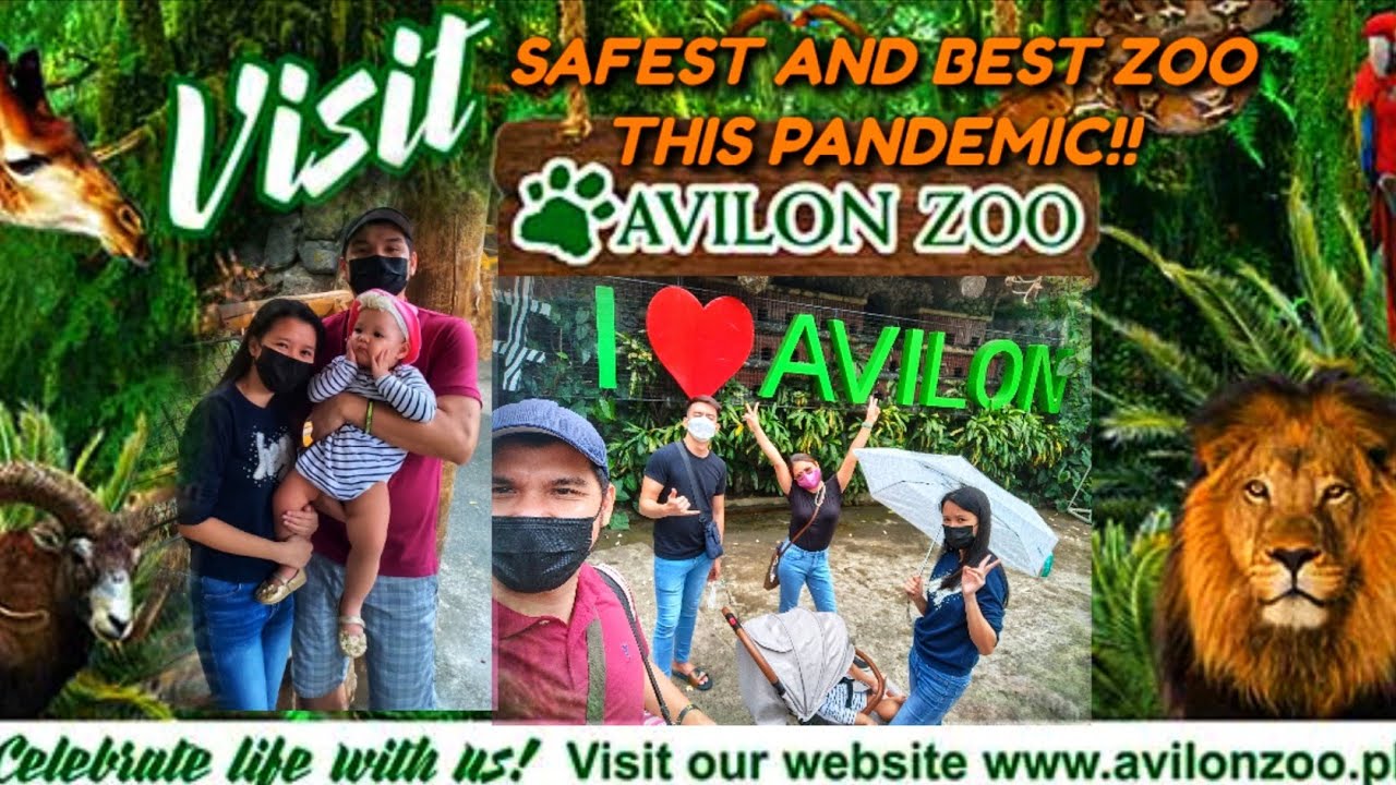 AVILON ZOO | COMPLETE TOUR | BEST AND SAFEST ZOO THIS NEW NORMAL - YouTube