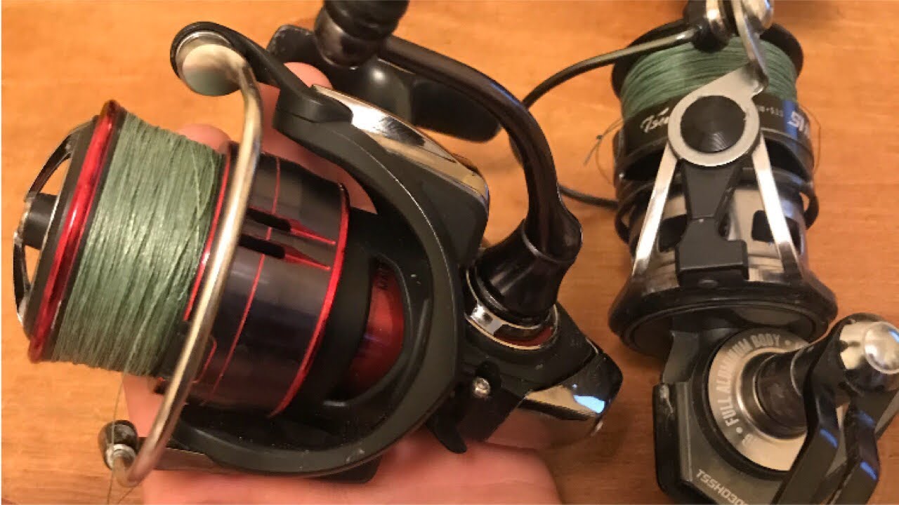 The Best $100 Spinning Reel? + Winners & Losers Of Florida Trip (BORING ...
