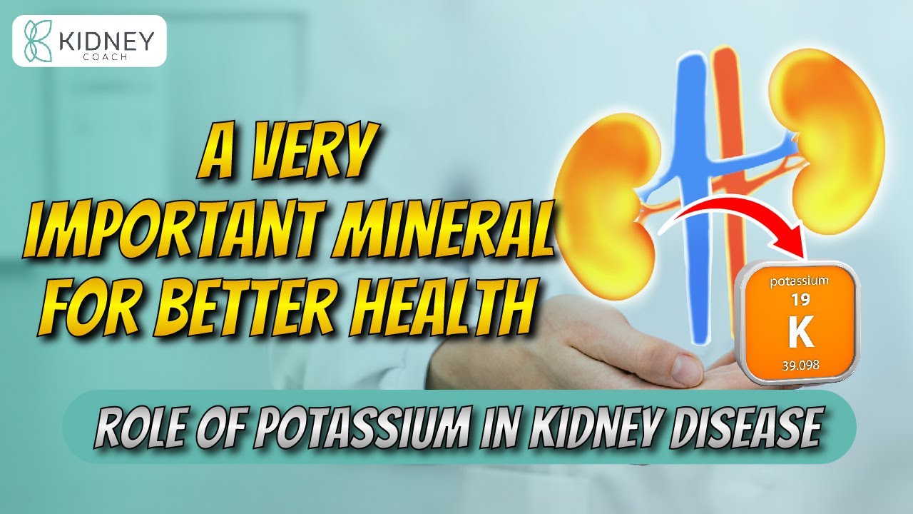 Exploring The Role Of Potassium In Kidney Disease | An Important ...
