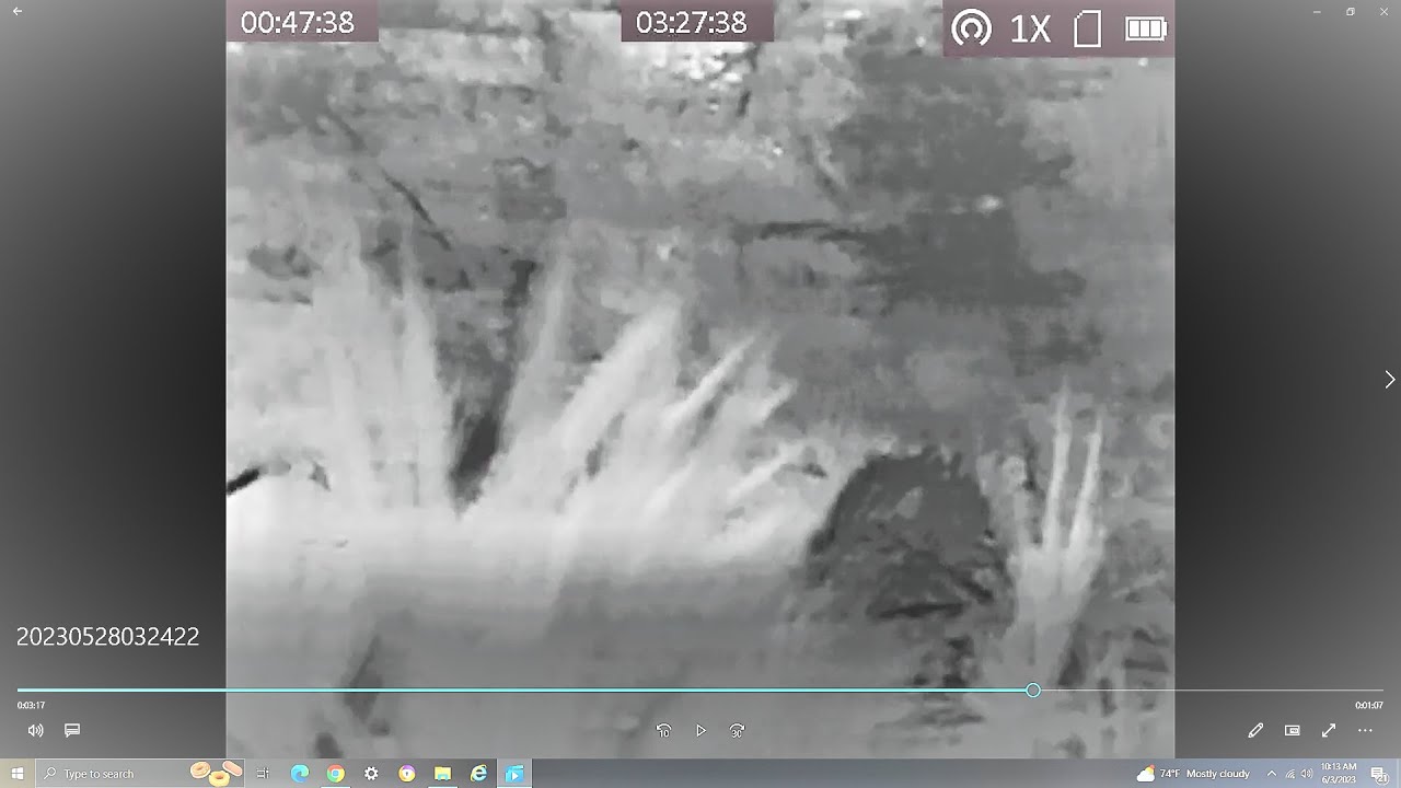 Possible Creatures Caught On The IR Camera! - YouTube