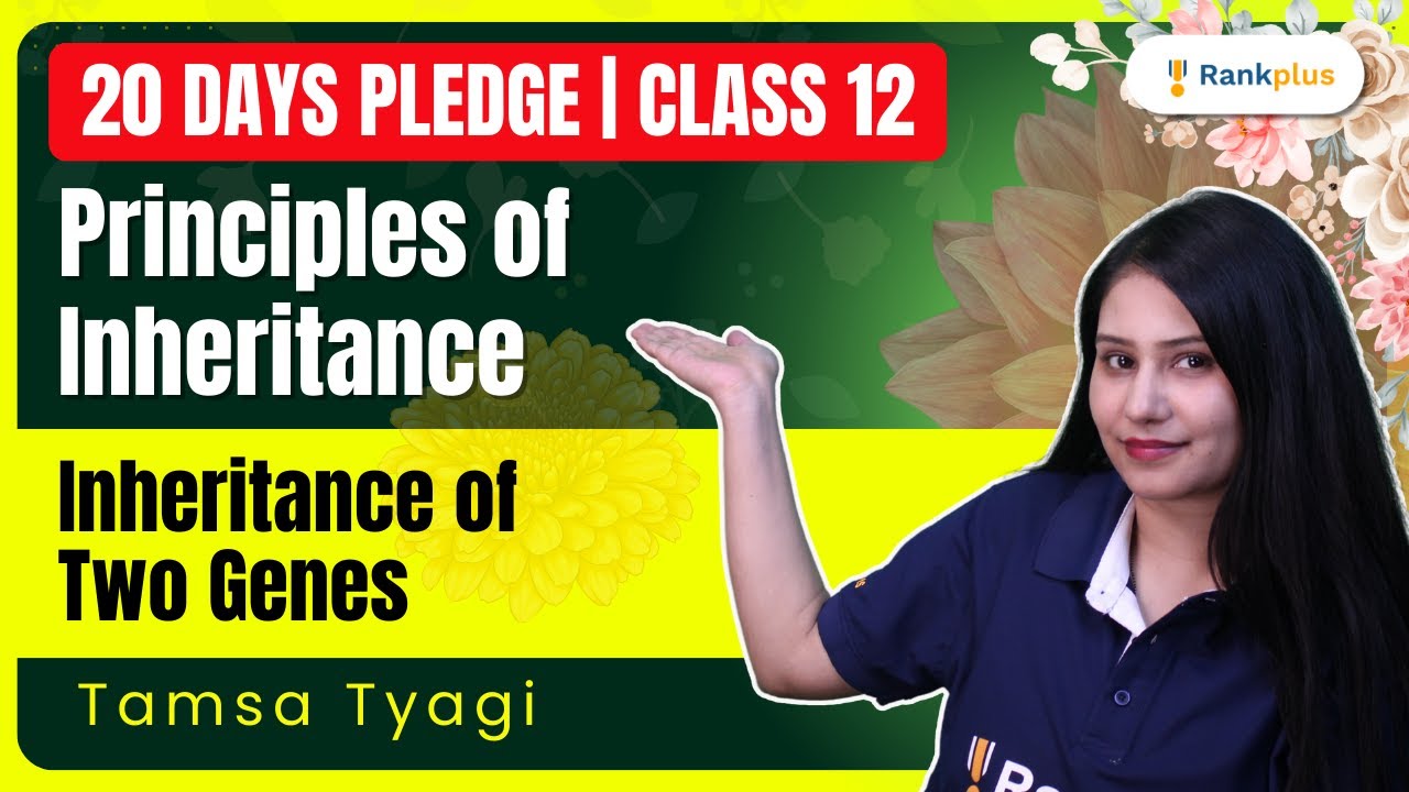 Principles of Inheritance | Inheritance of Two Genes | 20 Days Pledge ...