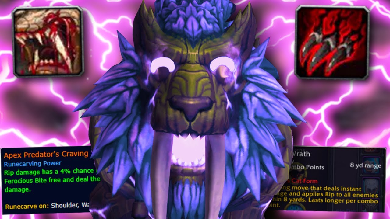The Apex Predator Bleed Build | 9.2 WoW Arena - YouTube