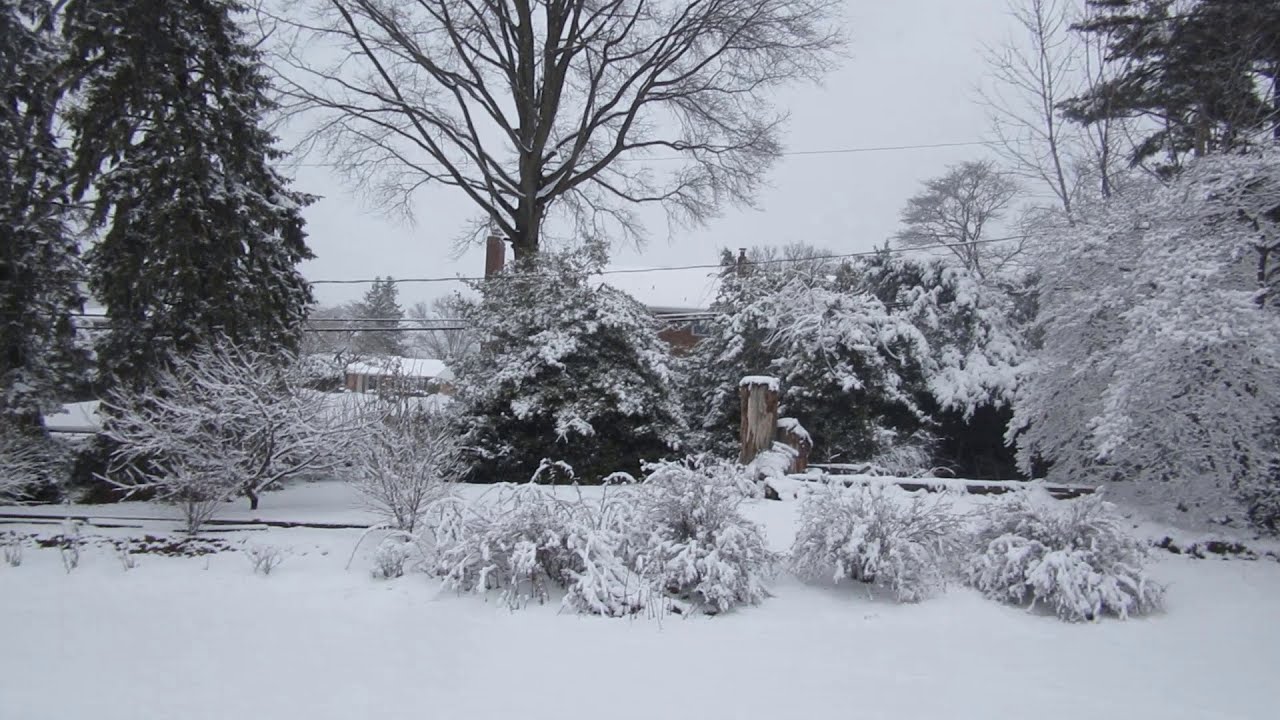 The Lonely Snowman - Award Winning Short Film - YouTube