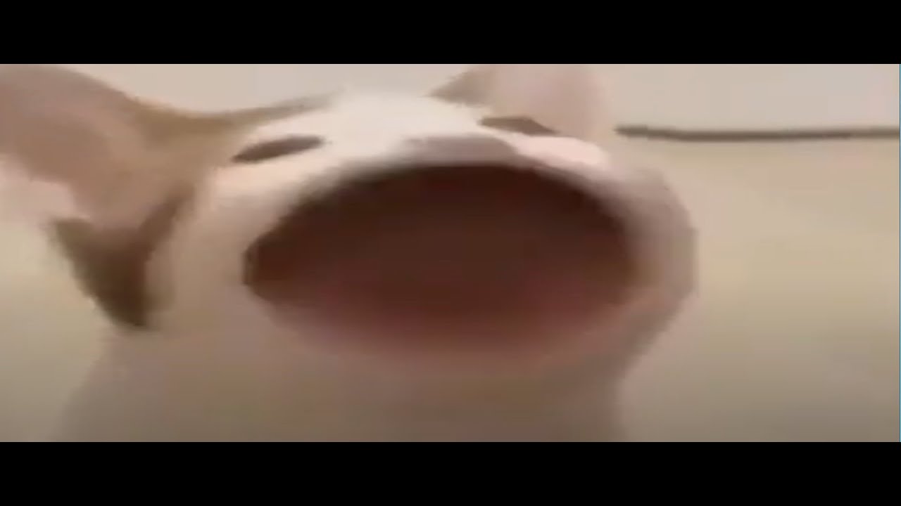 🔴Getting huge troll face part 1 LIVE🔴 - YouTube