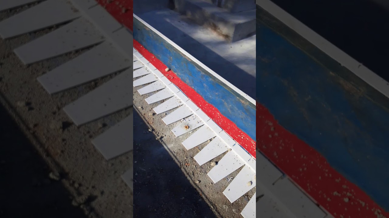 Gunite Pool Part 4 cast in place coping - YouTube