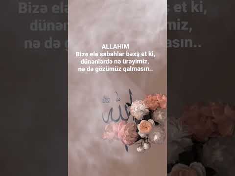 🎶🕊️🌼 Xeyirli geceler 🌼🕊️