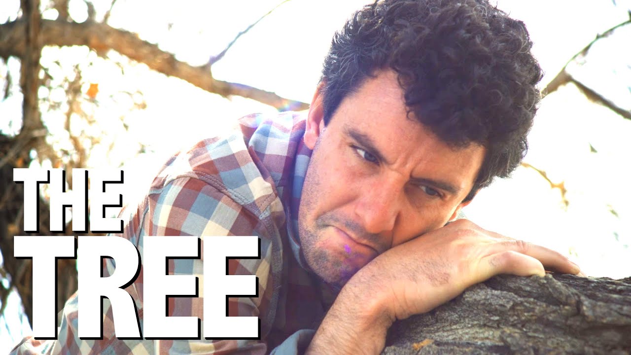 The Tree - YouTube