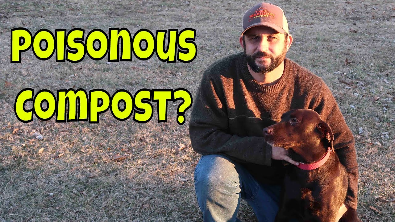 Is Your COMPOST PILE Poisoning YOUR DOG? - YouTube