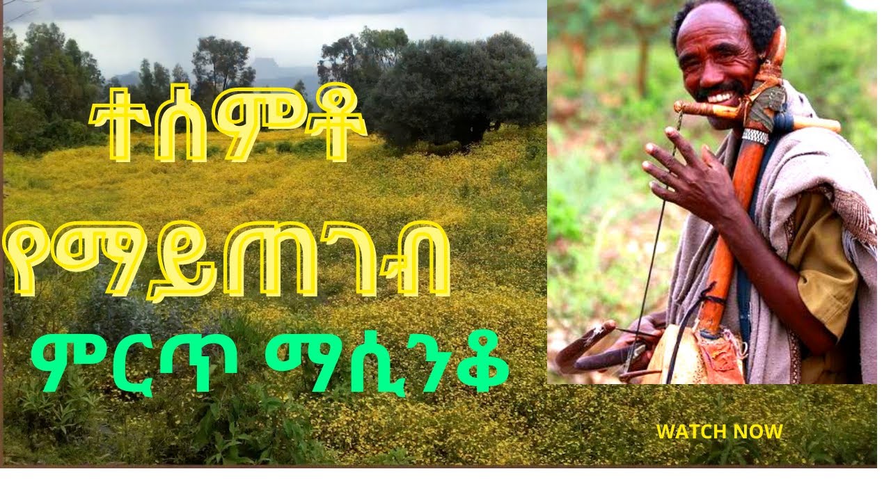 የትዝታ አዝማሪ ማሲንቆ - Ethiopian Masinko Music + Azmari Masinko Song ...