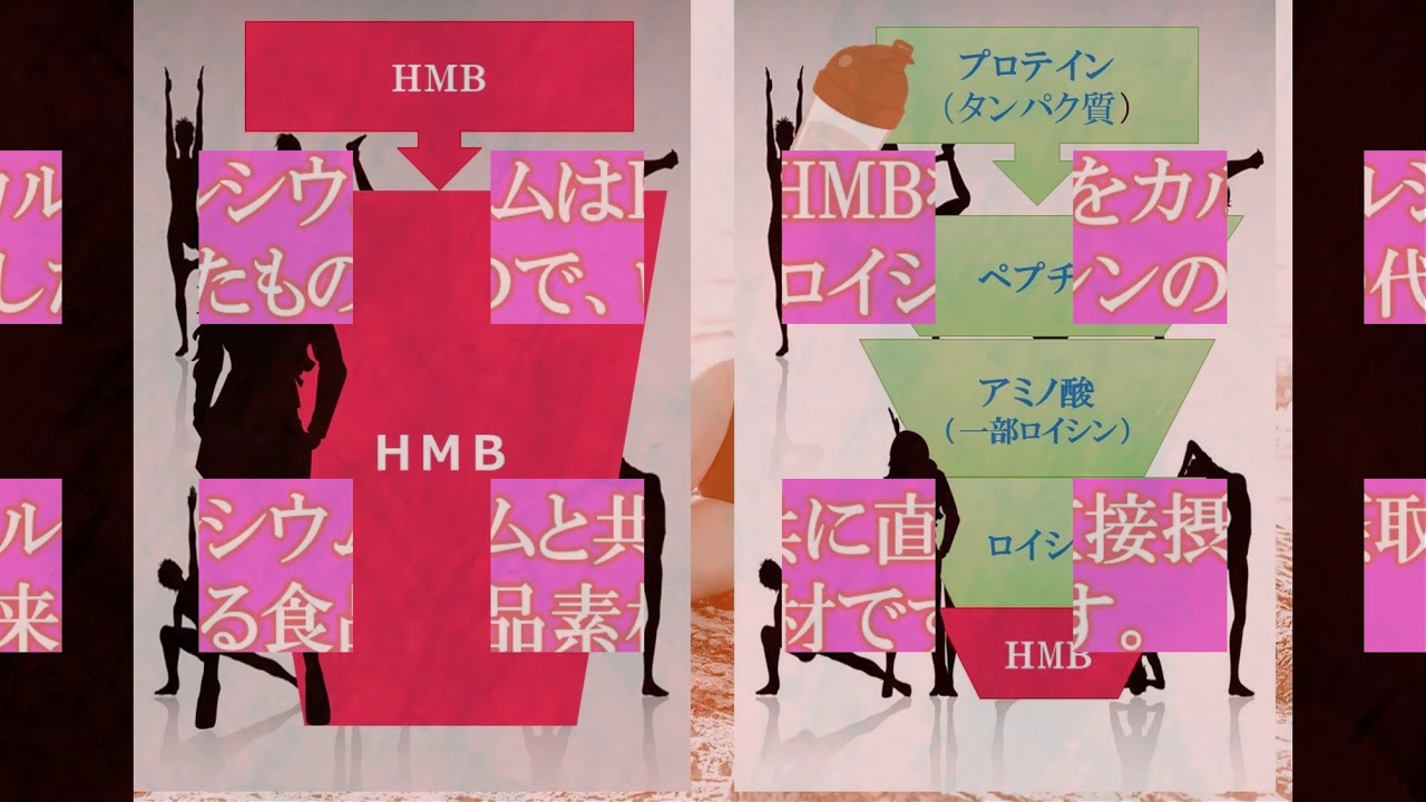 Venus.Labo「60日間ウエストくびれ／アニメで紹介」第4話最終回 - YouTube