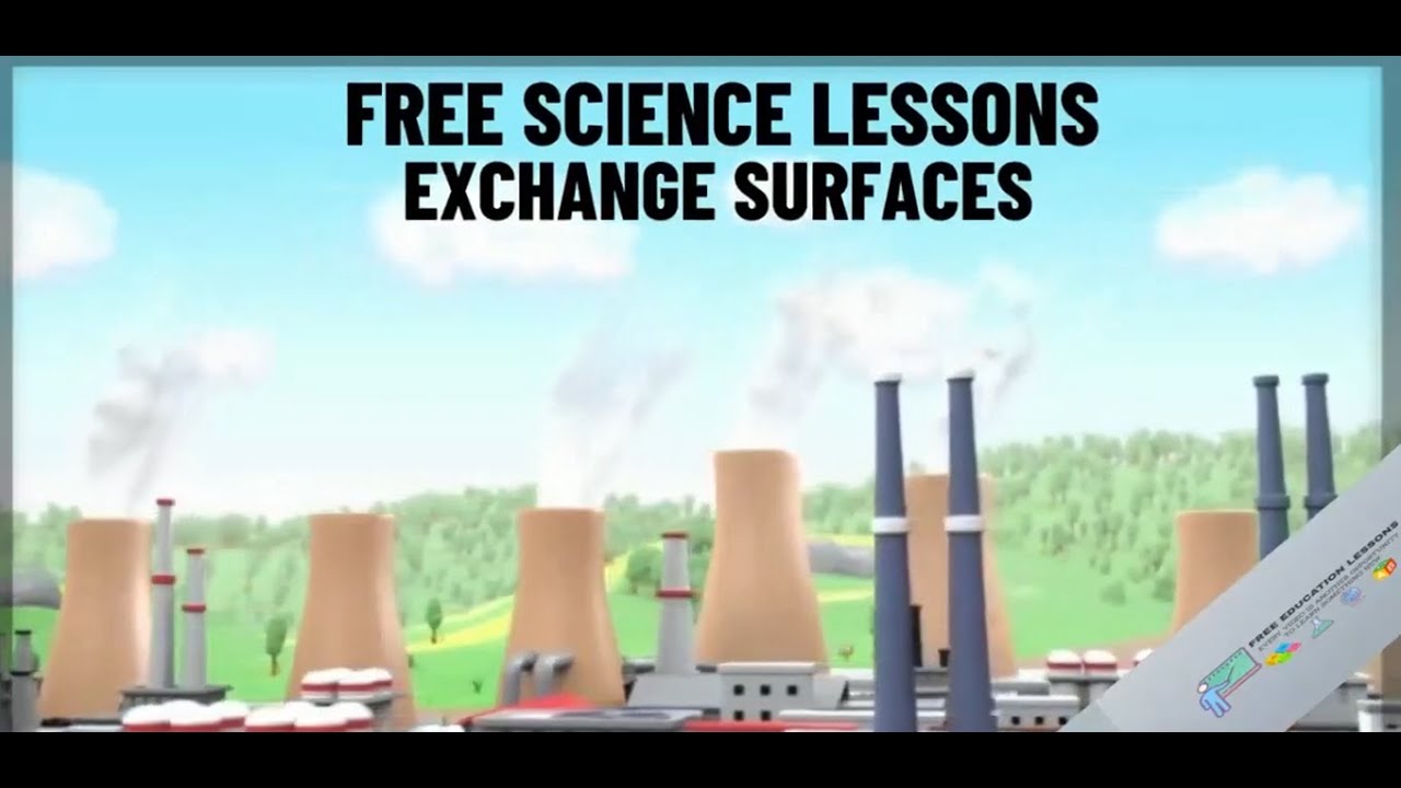 Clip 10 Exchange surfaces - Science - YouTube