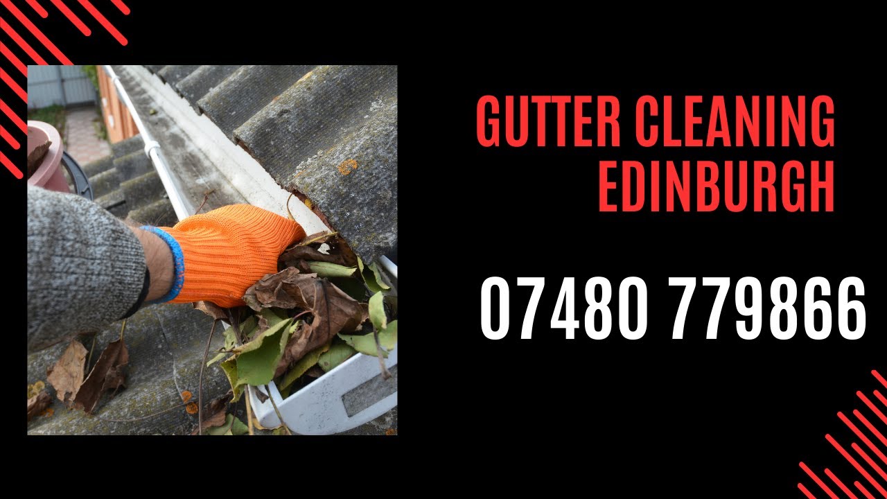 Gutter Cleaning Edinburgh Don’t Wait For Blocked Gutters To Cause ...