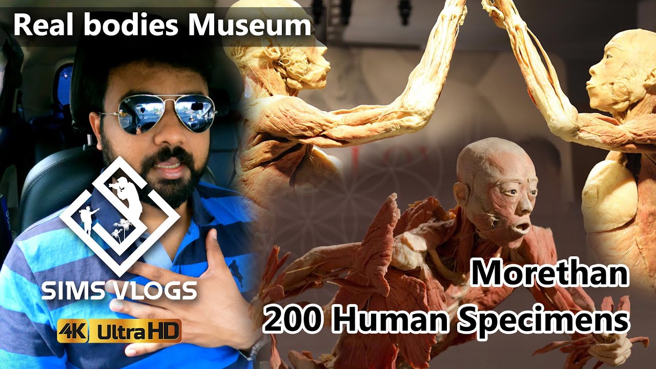 Real human bodies museum - More than 200 human specimens | Sims Vlogs ...