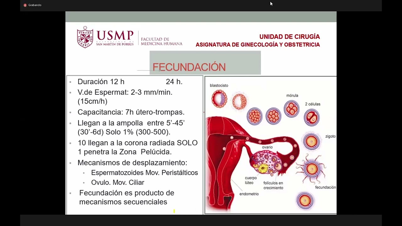 CLASE 02 OBSTETRICIA - YouTube