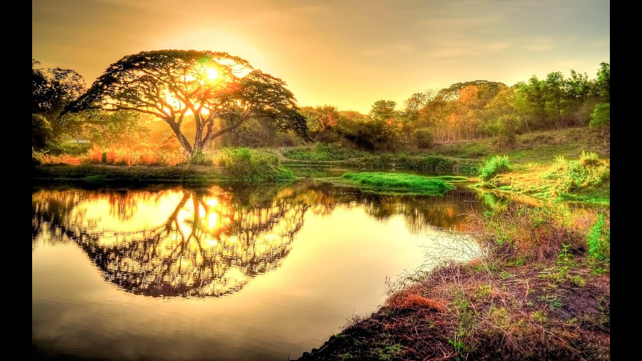 Amazing Natural Birds and wildlife - 4k HD Whatsapp Status Video. - YouTube