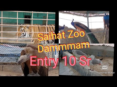 Dammam Zoo at Saihat City. near to dammam. Saudi Arabia 🇸🇦 - YouTube